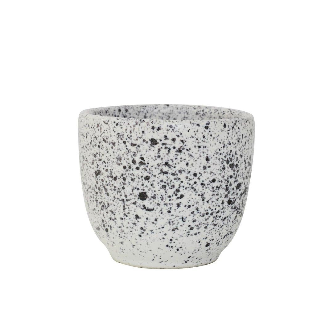 Buy Aoomi Mess Mug A03 200ml Set of 2 – Coffeedesk.ae